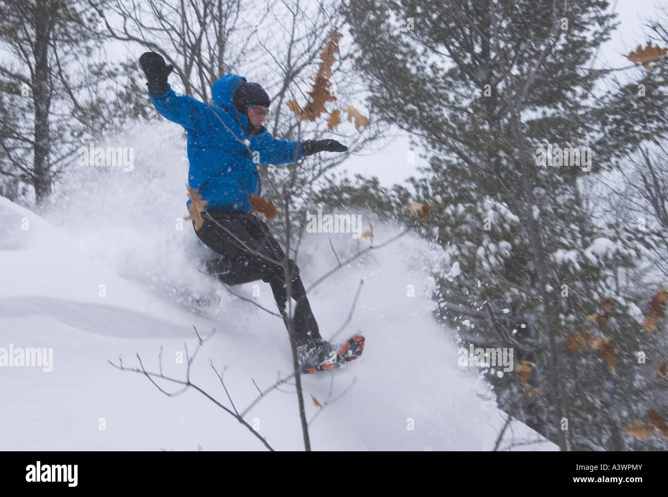 A snowshoer runs through deep powder deep in the woods north of ...
