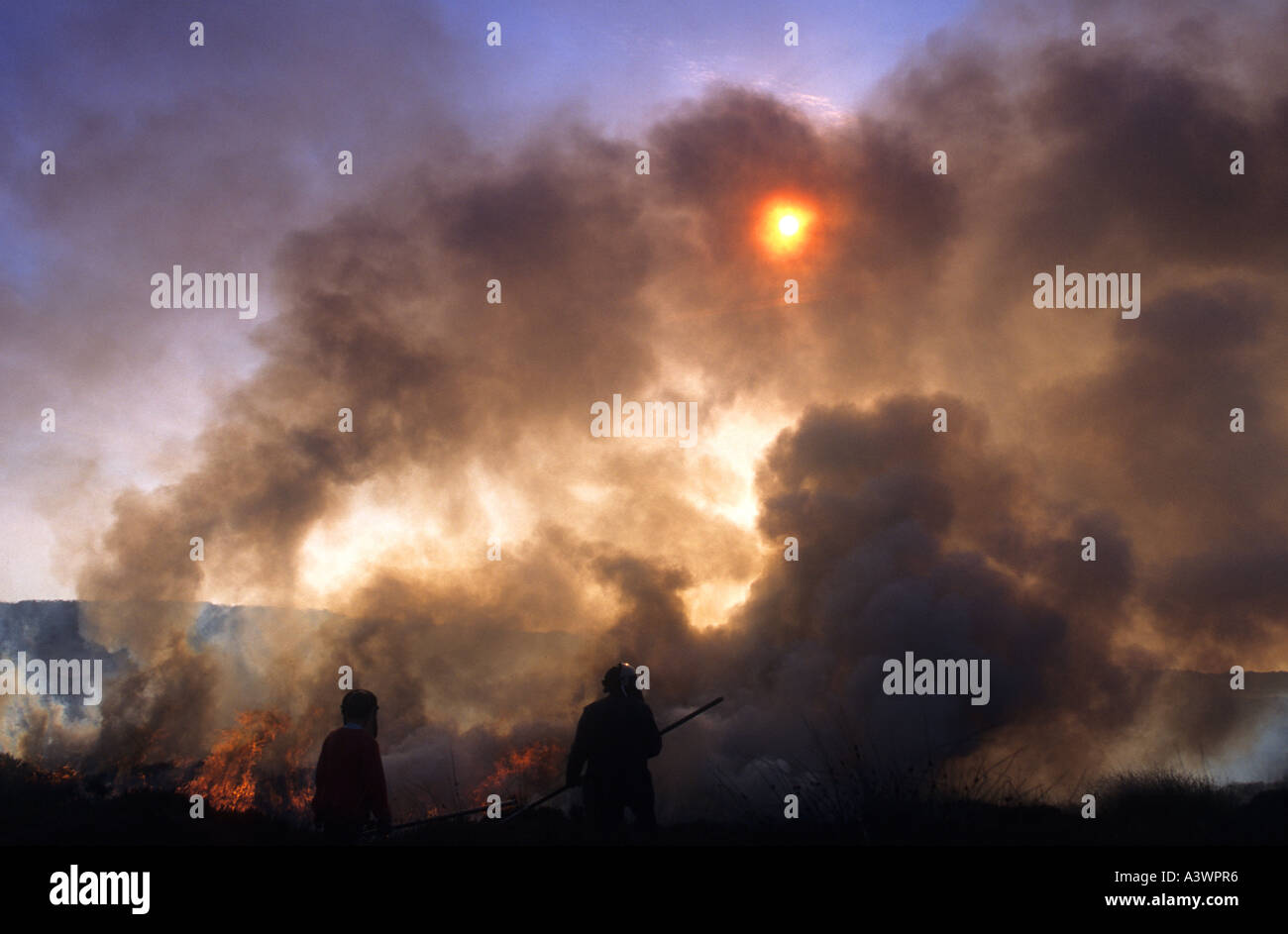 Controlled Shrub Fire Stock Photo - Alamy