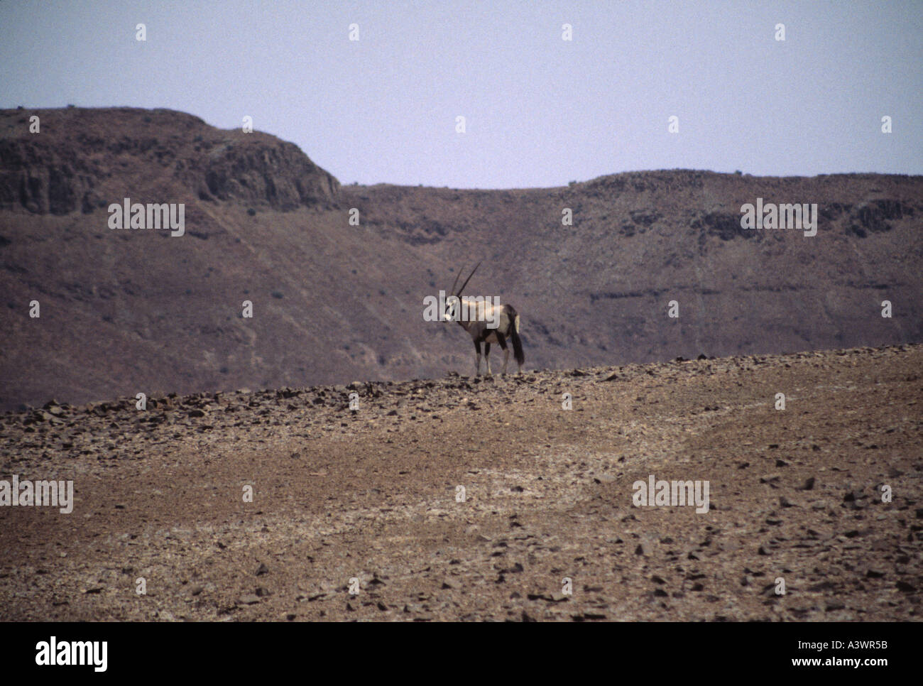 Namibian desert isolation hi-res stock photography and images - Alamy