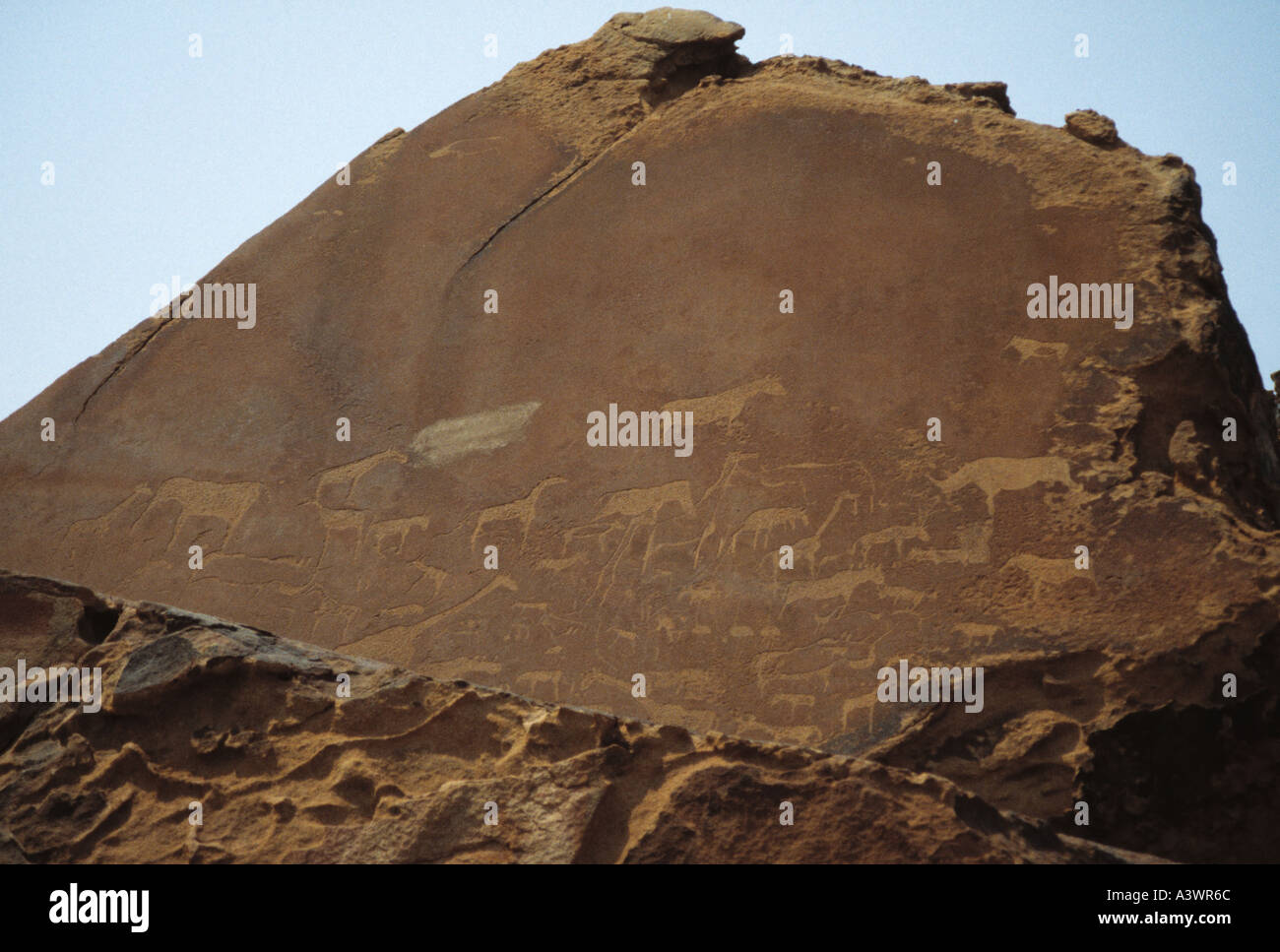 Rock painting at Twyfelfontein Namibia,Africa Stock Photo - Alamy