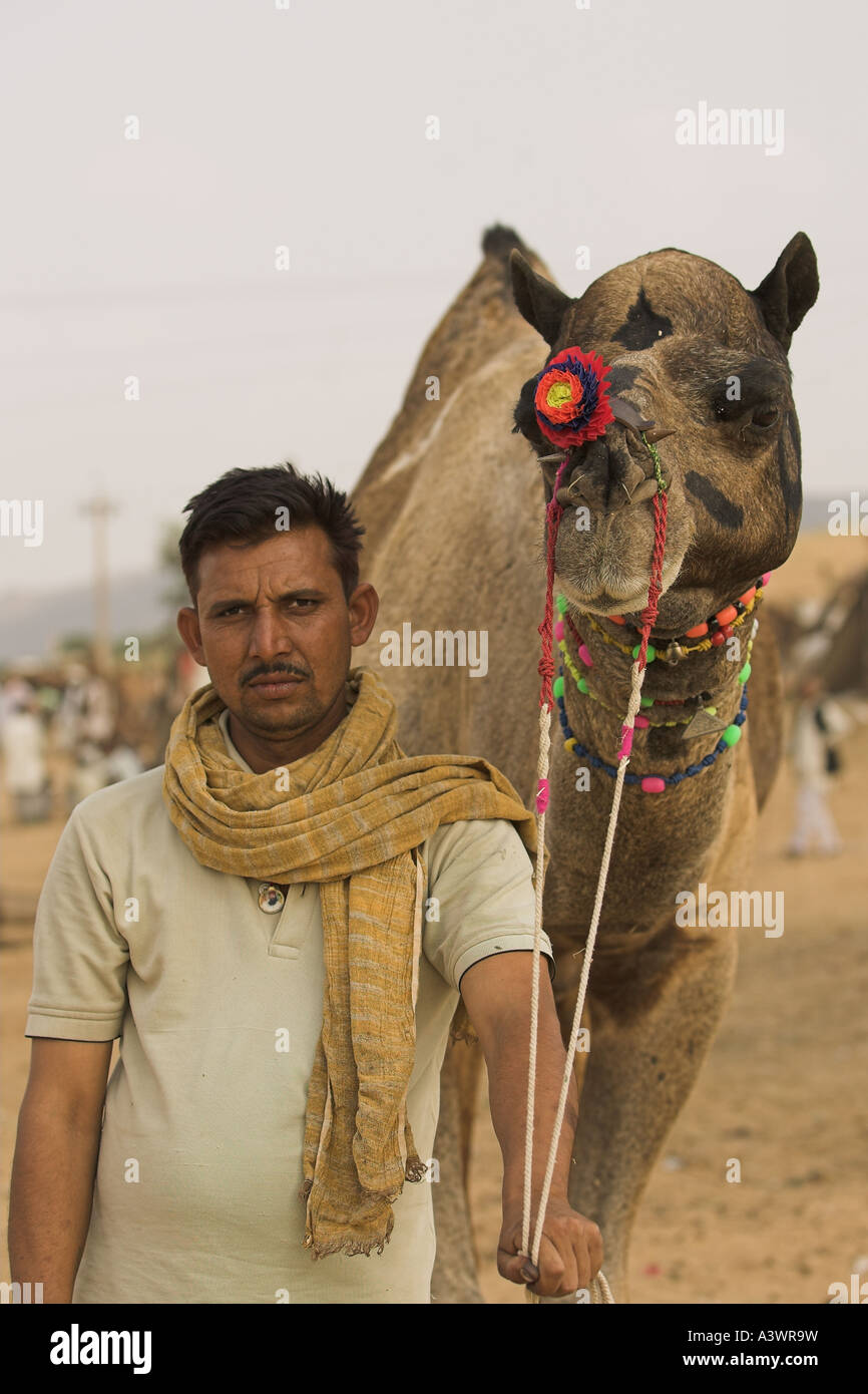 A camel trader. - India Stock Photo - Alamy