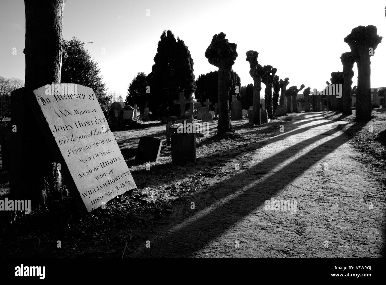 Moss st market Black and White Stock Photos & Images - Alamy