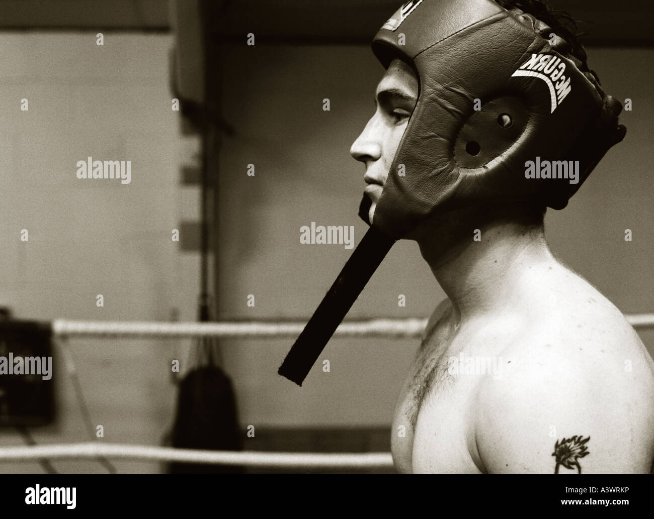 Black and White image of boxer in profile Stock Photo - Alamy