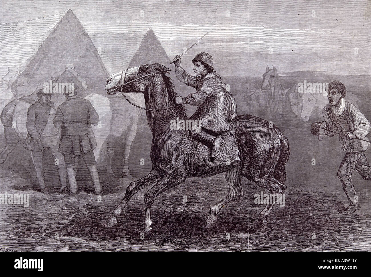 gallop whip shouting horses stern forbiding stare pyramid strict angry ...