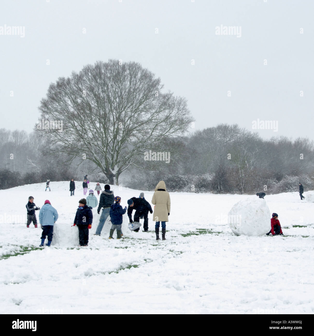 Large Oak Tree Children High Resolution Stock Photography and Images ...