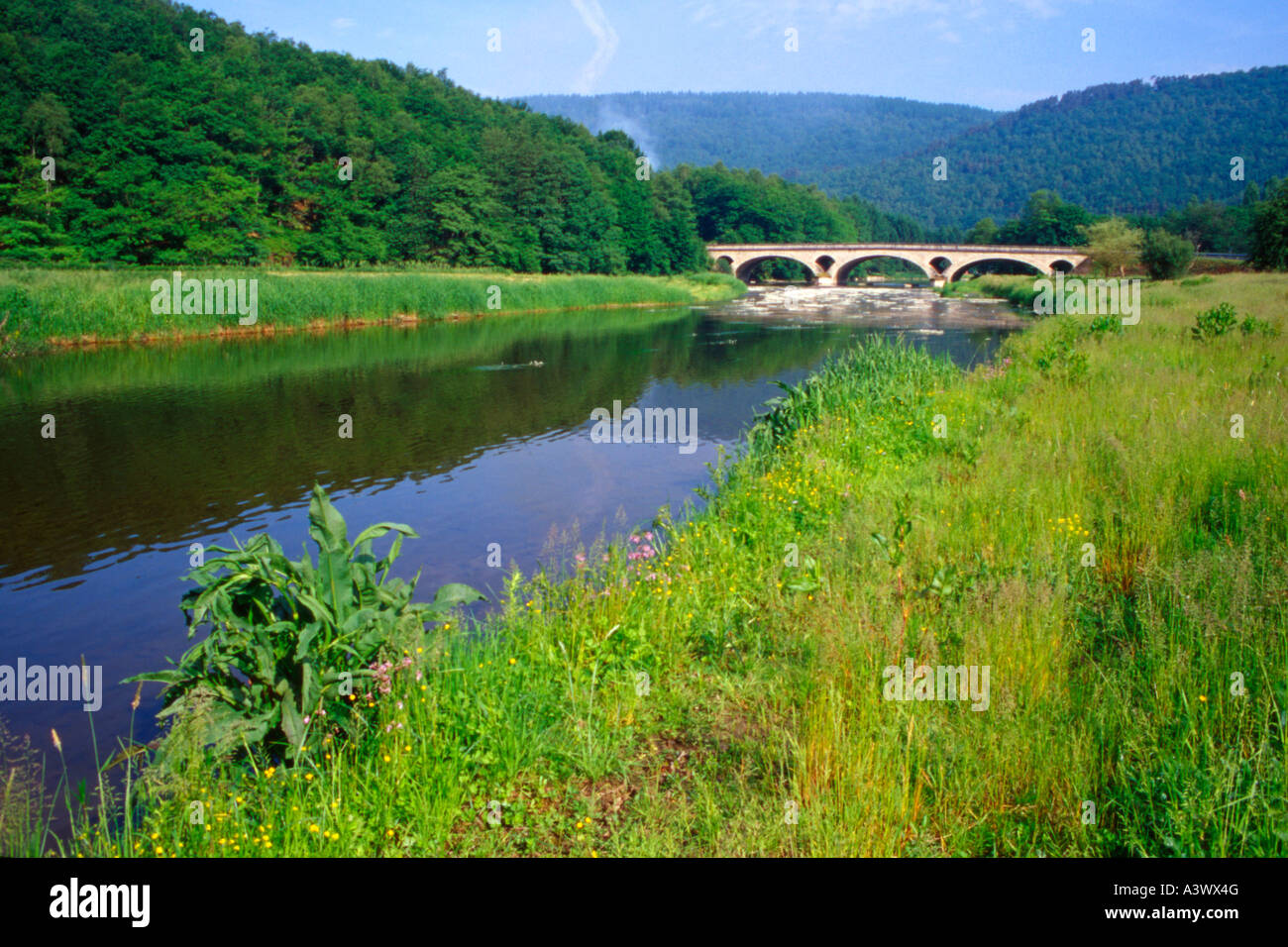 River Semoy at Nohan, French Ardennes Stock Photo - Alamy