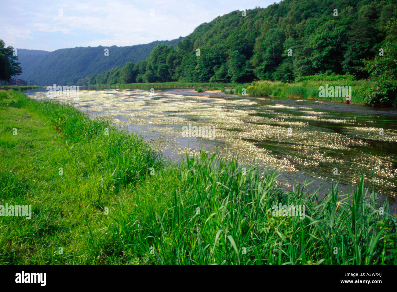 Nohan hi-res stock photography and images - Alamy