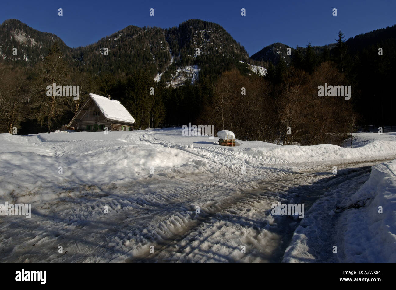 Log cabin and pile of logs buried in snow near Gosau Salzkammergut ...