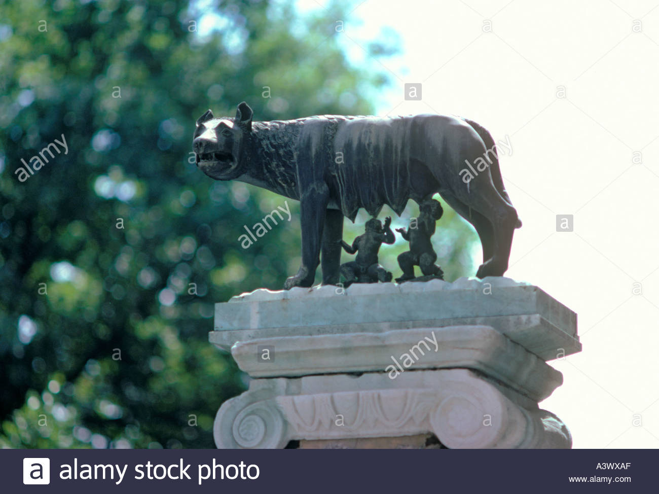 Romulus And Remus Rome High Resolution Stock Photography and Images - Alamy