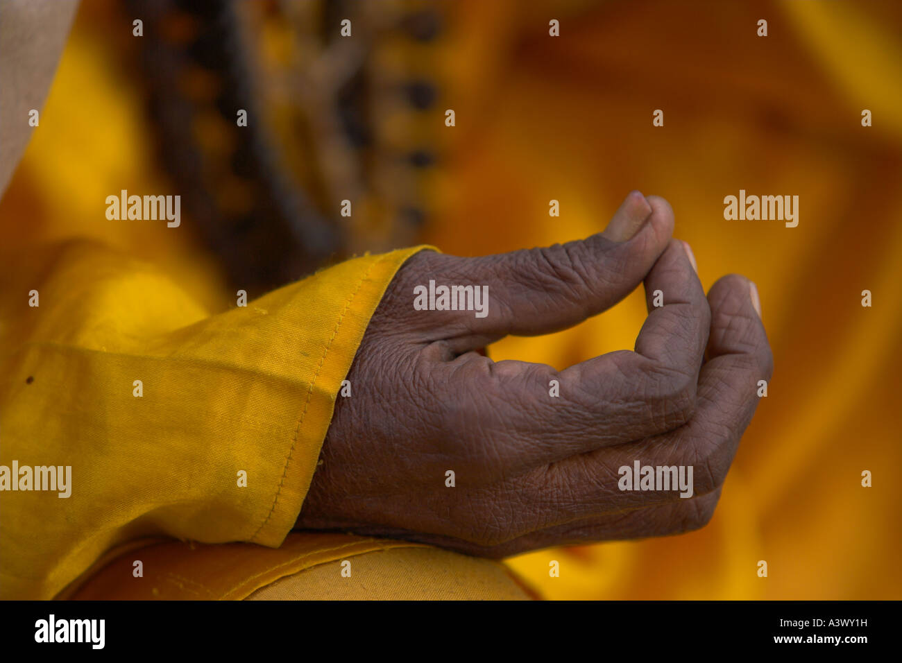 The hand of Sadhu meditating. - India Stock Photo - Alamy