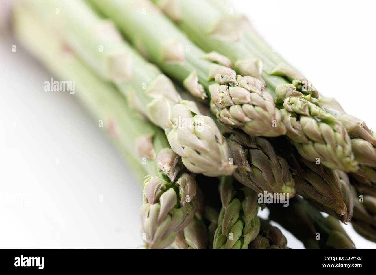 Asparagus spears food white space Stock Photo - Alamy