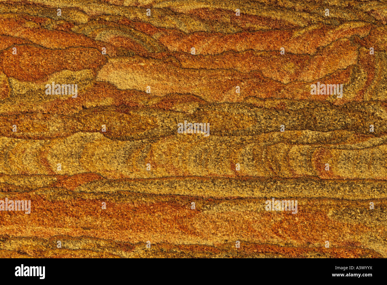 Picture Sandstone -Utah - USA - Cross section of naturally occuring ...