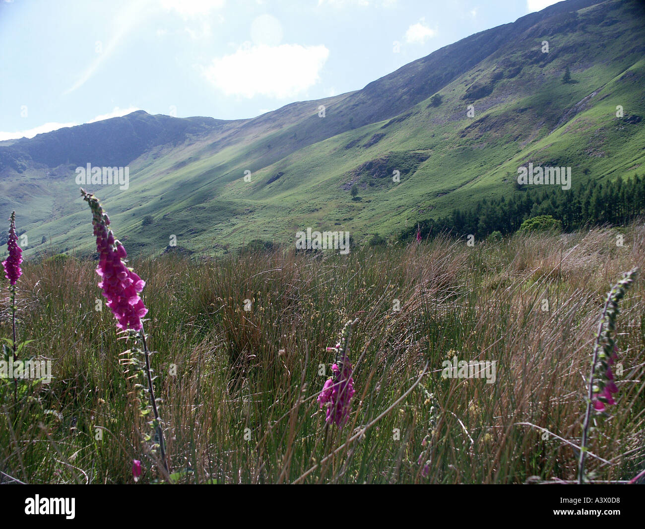 Grange borrowdale maiden moor hi-res stock photography and images - Alamy