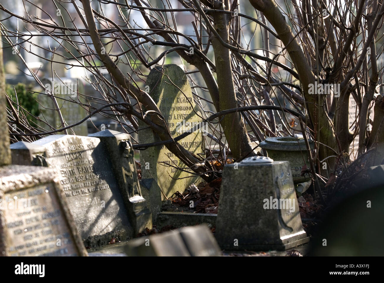 Uncared for grave hi-res stock photography and images - Alamy