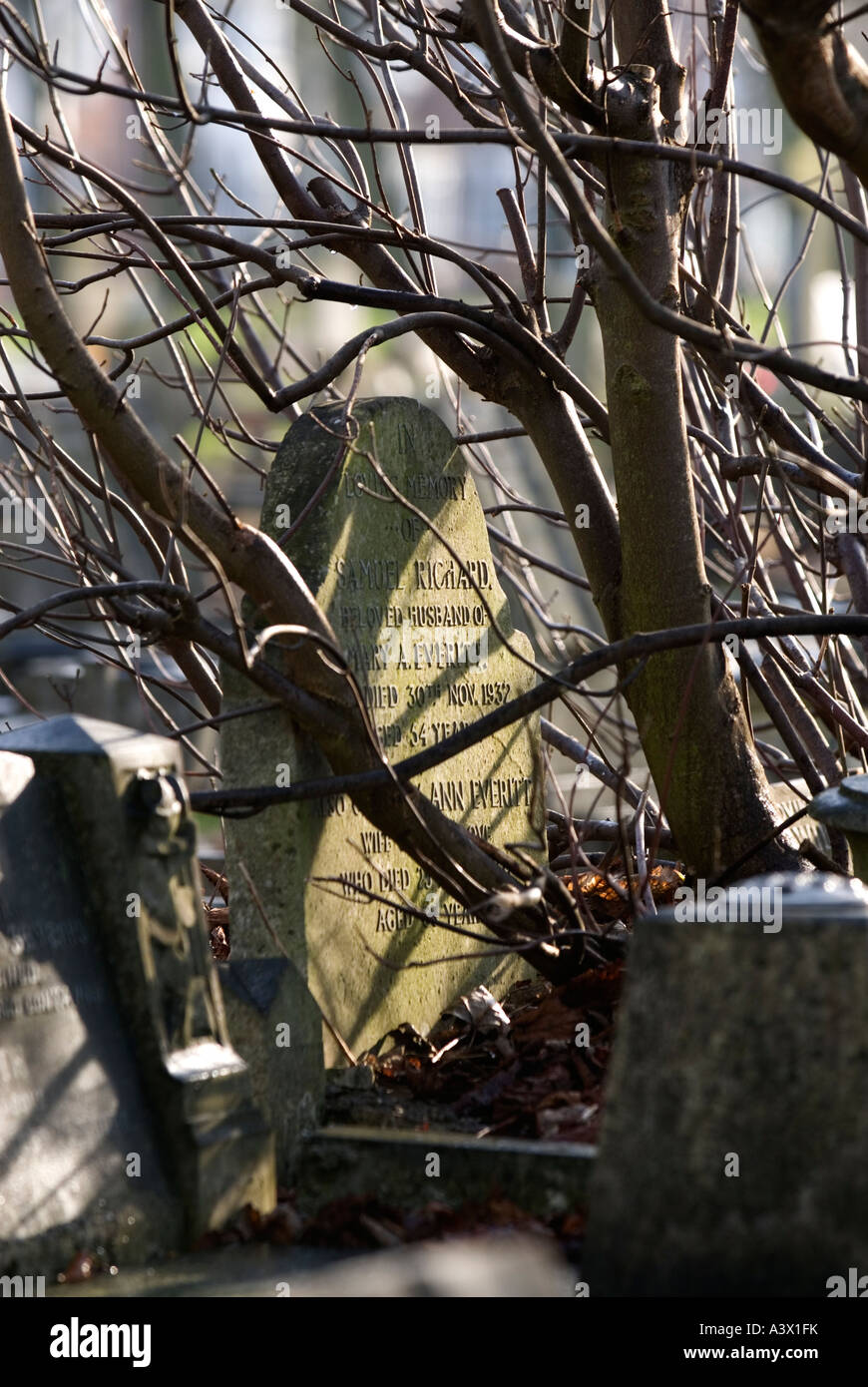 Uncared for grave hi-res stock photography and images - Alamy