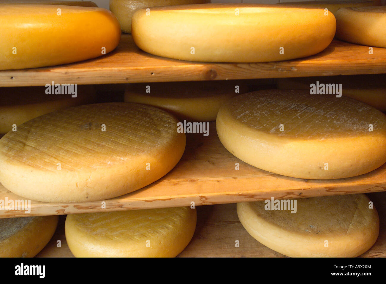 Industrial Cheese Making with commercial racks to age cheese Stock ...
