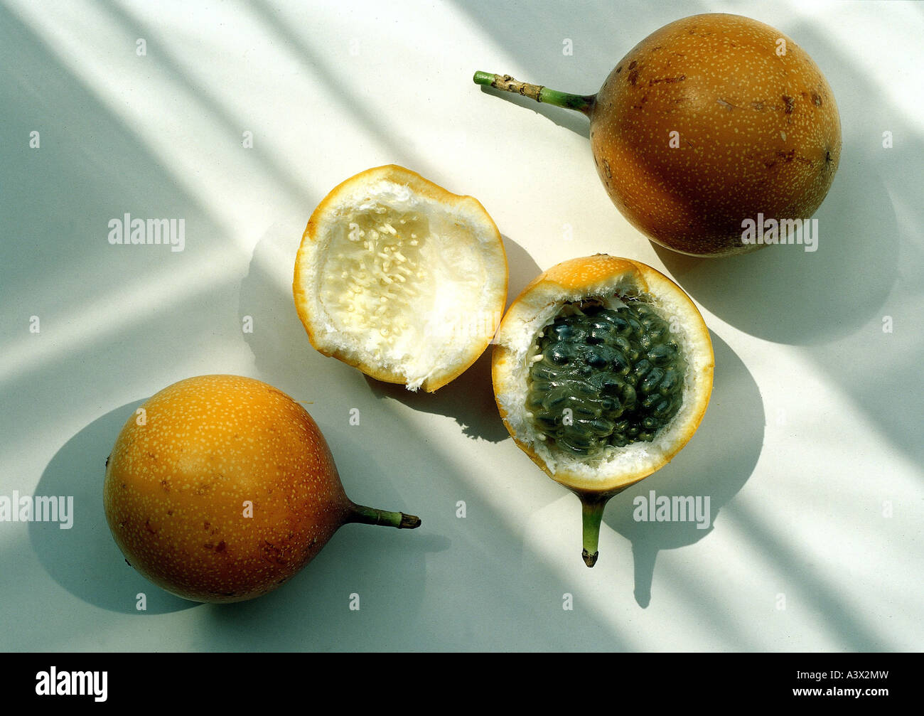 botany, Passion Fruit, (Passiflora edulis), fruits, studio shot, pulp ...