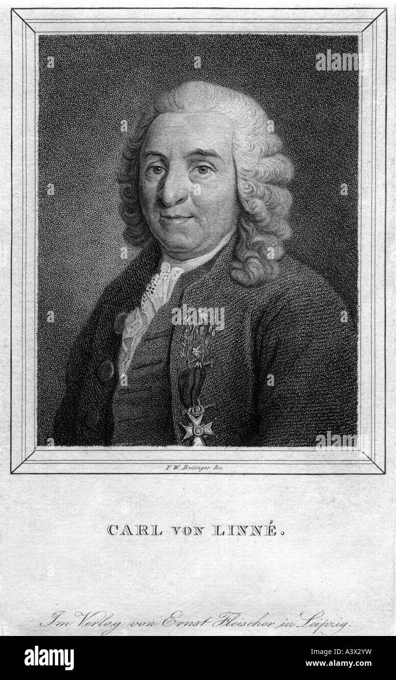 Portrait carl linnaeus hi-res stock photography and images - Alamy