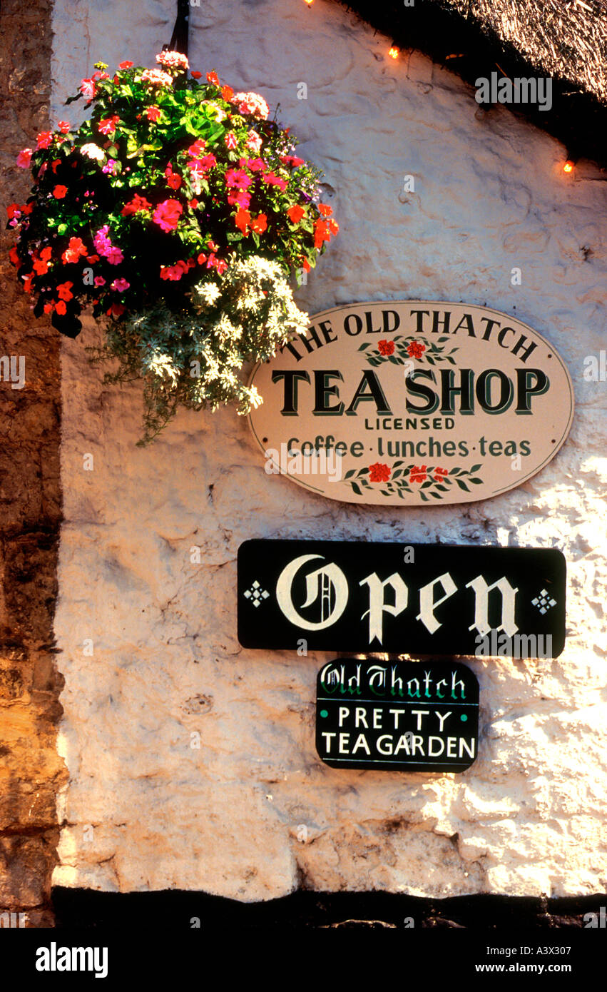 The Old Thatch tea shop sign and hanging basket of flowers Shanklin ...