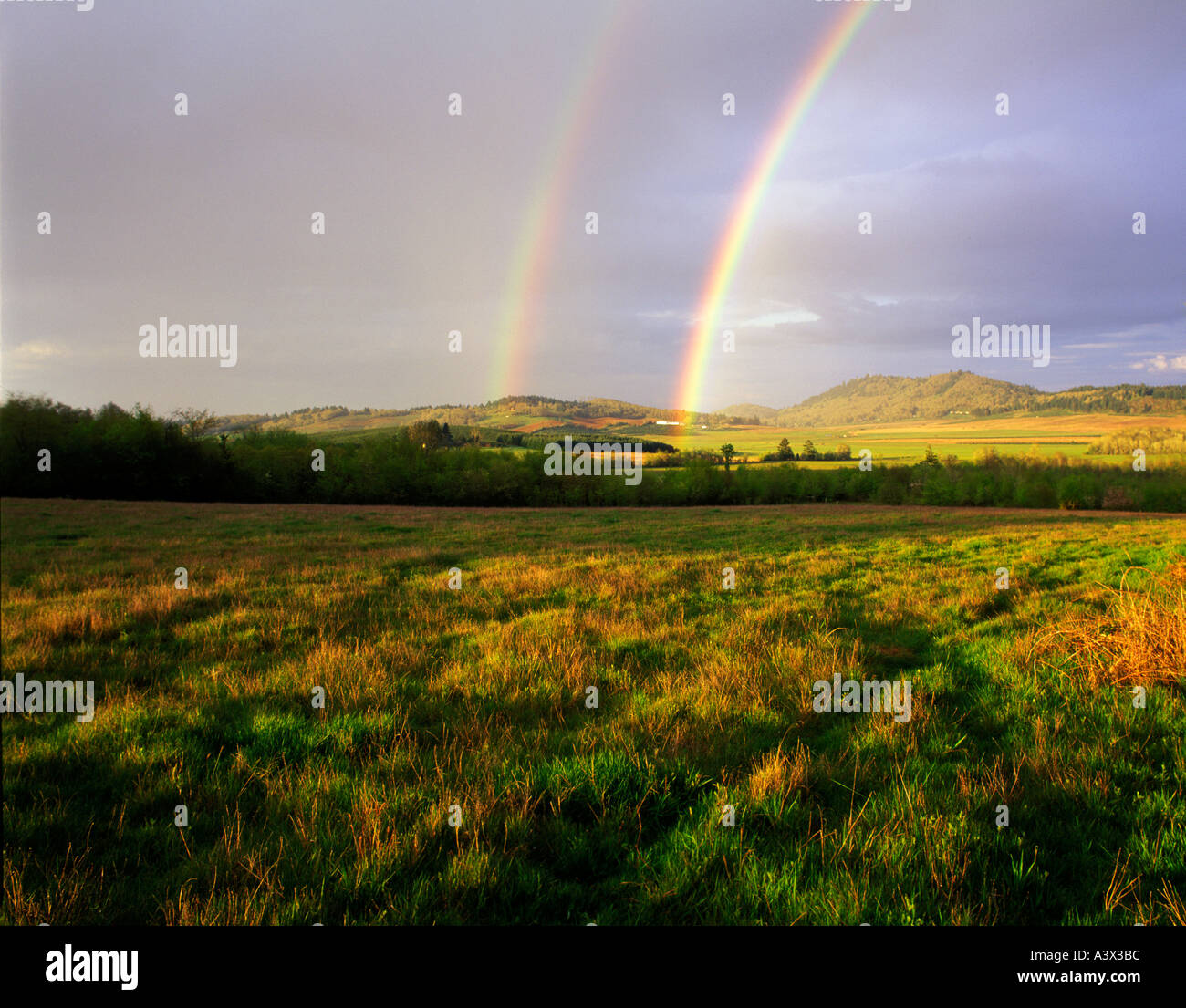 Rainbow and pastureland Near Alpine Oregon Stock Photo - Alamy