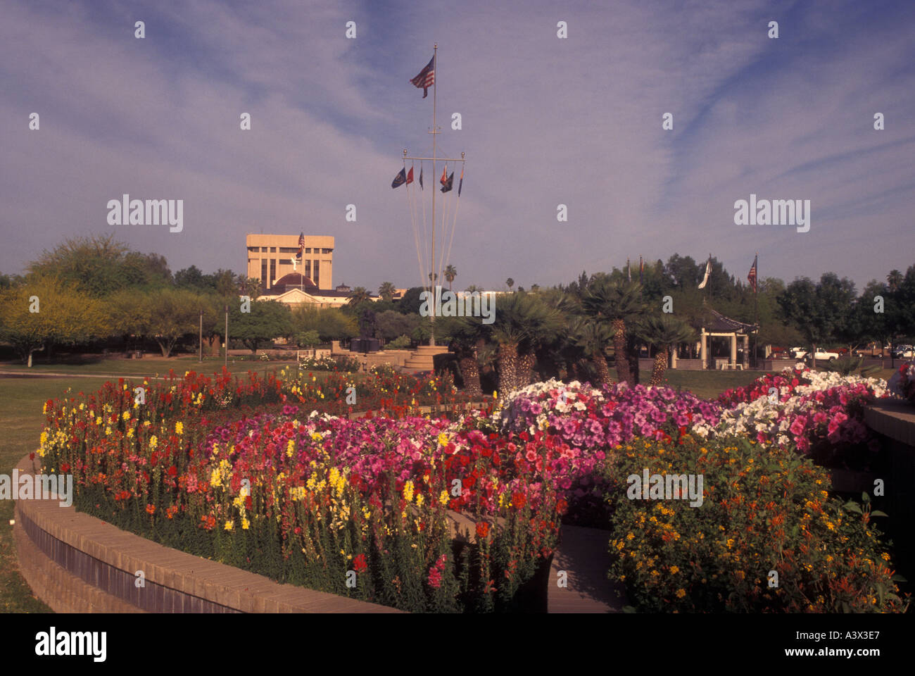 Phoenix community gardens hi-res stock photography and images - Alamy