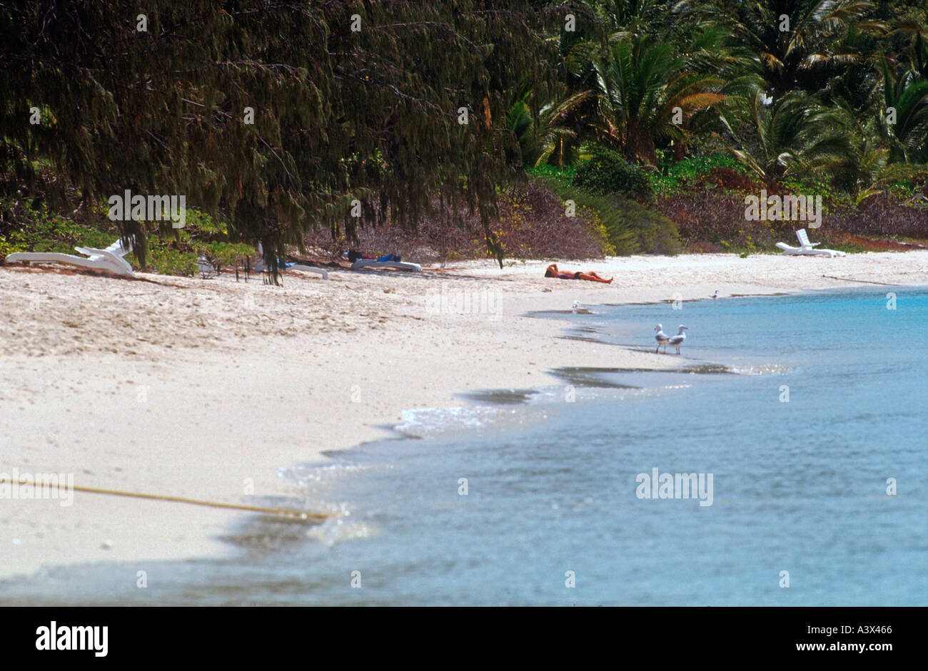 Lizard Island beach Great Barrier Reef island Queensland Australia ...