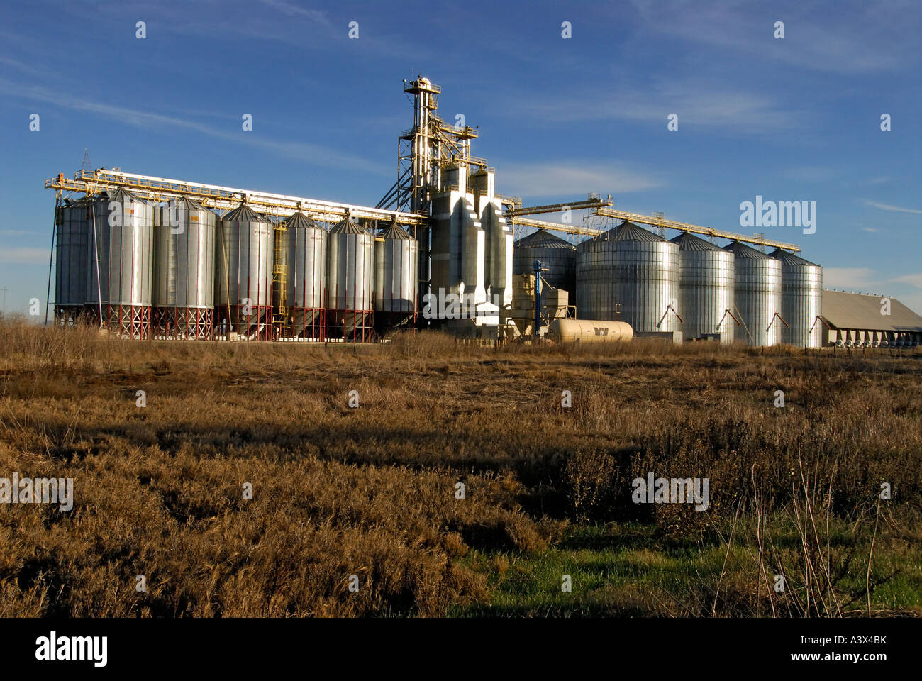 Monocrop agriculture hi-res stock photography and images - Alamy