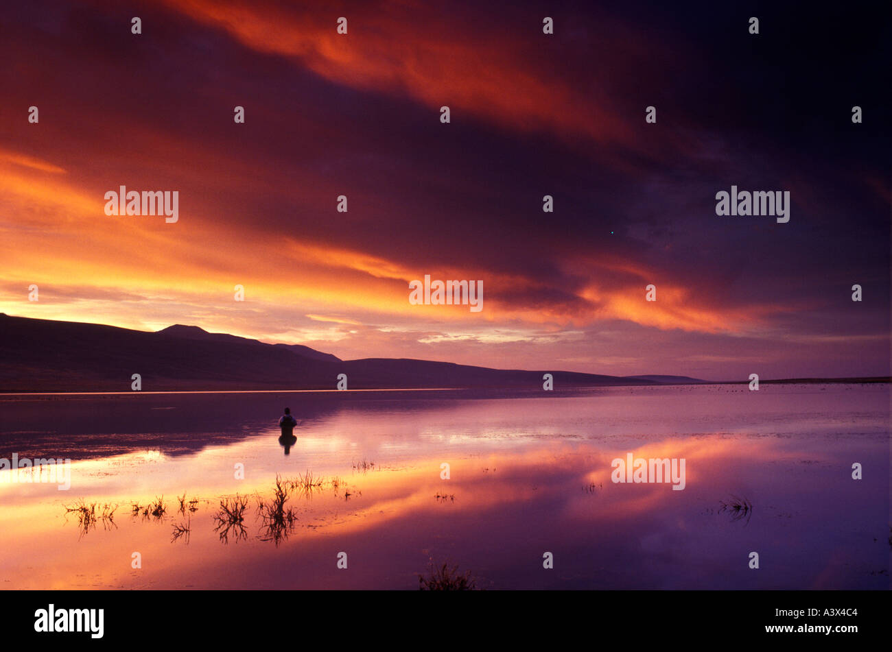 Fly fisherman on Mann Lake with sunrise Oregon Stock Photo - Alamy