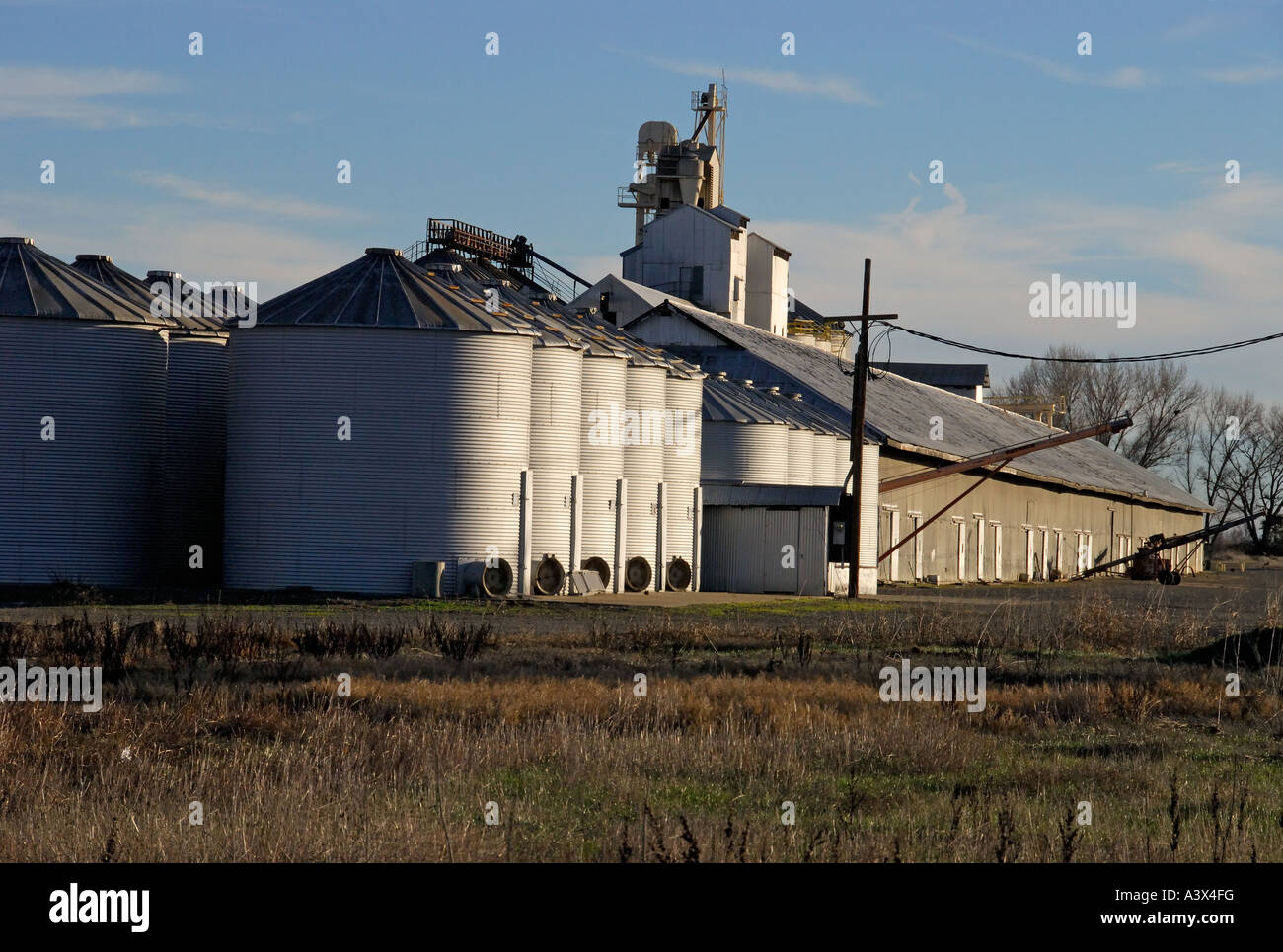 "Rice silos, near Maxwell, California Stock Photo - Alamy