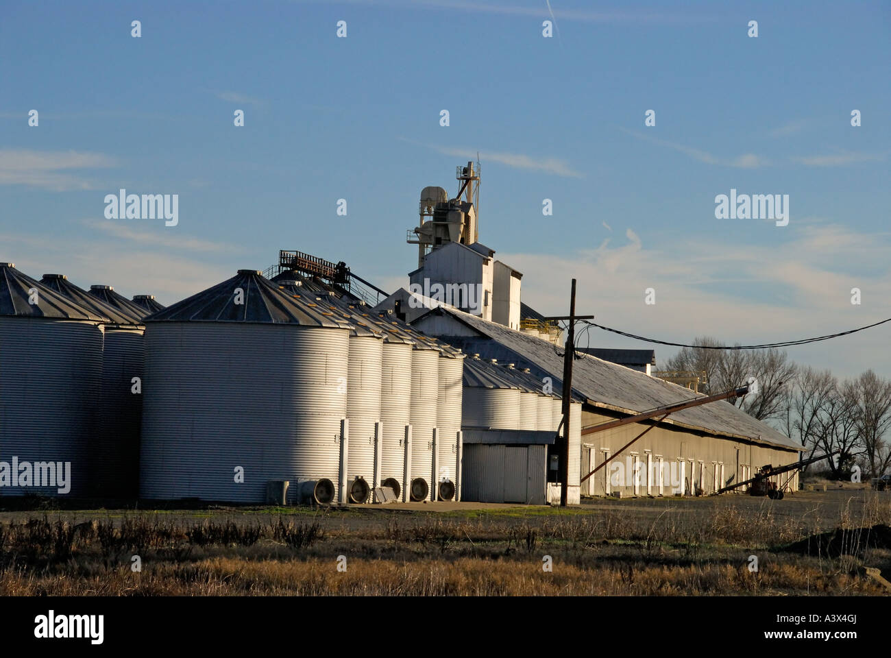"Rice silos, near Maxwell, California Stock Photo - Alamy