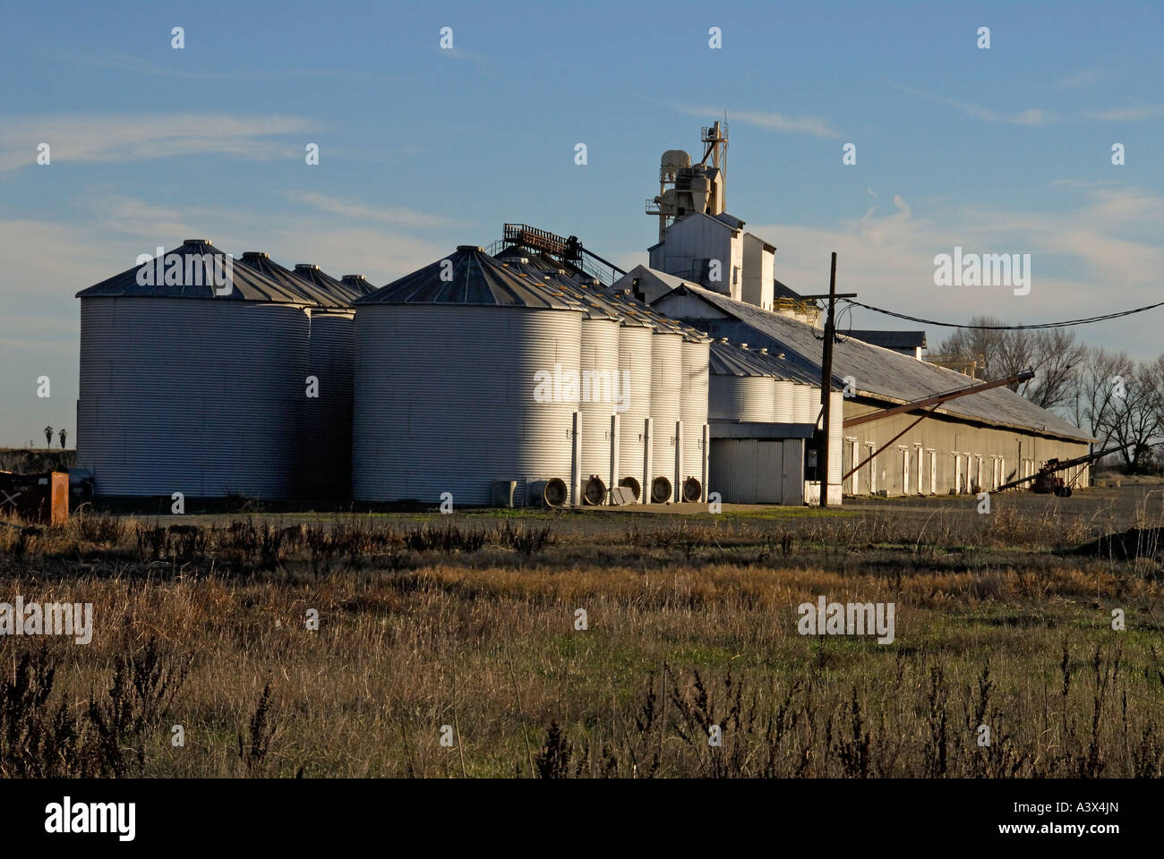 Rice Silos Stock Photos & Rice Silos Stock Images - Alamy