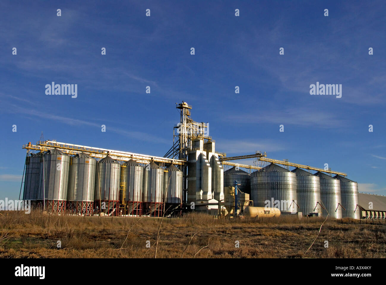 "Rice silos, near Maxwell, California Stock Photo - Alamy