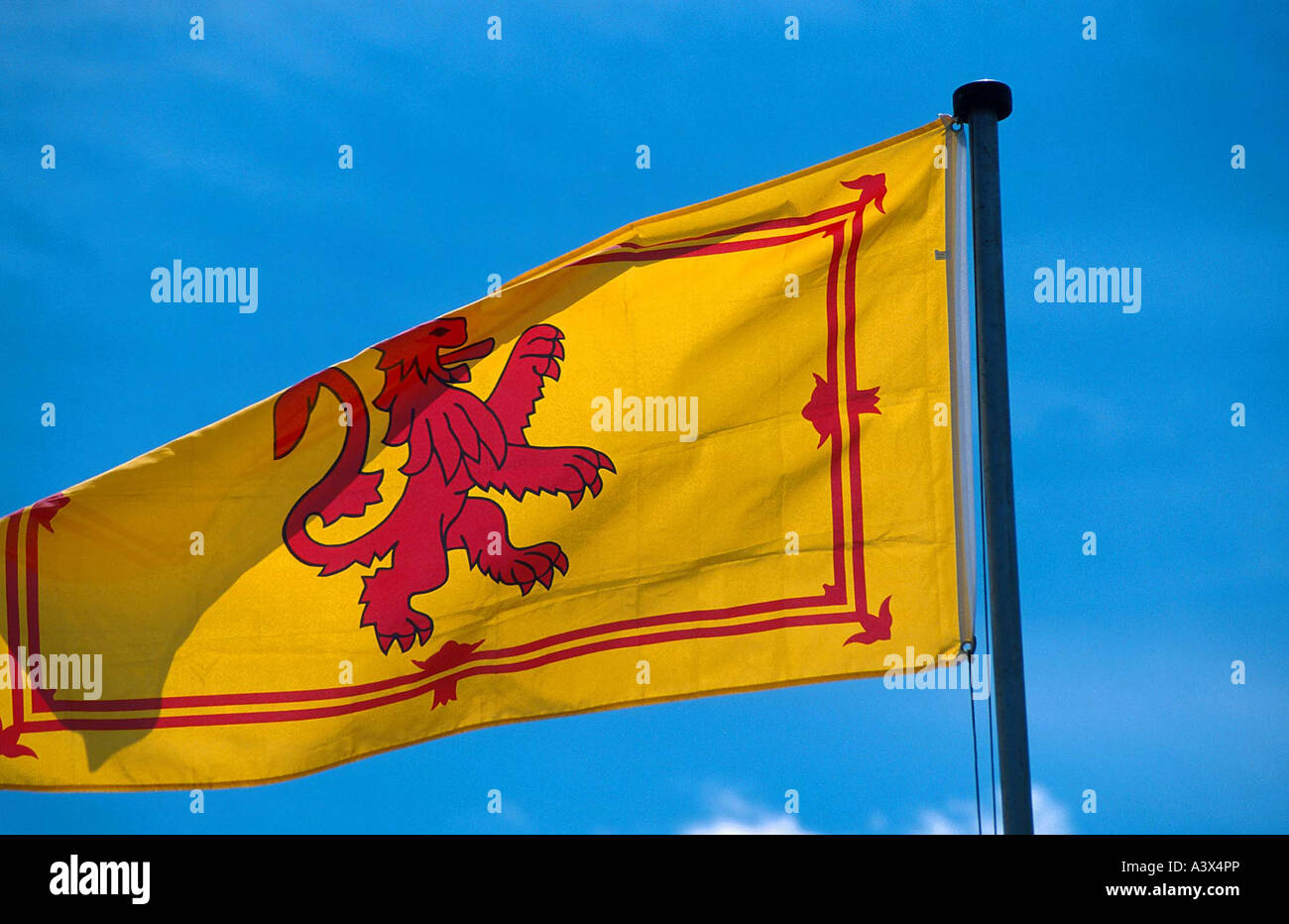 Lion with flag hi-res stock photography and images - Alamy