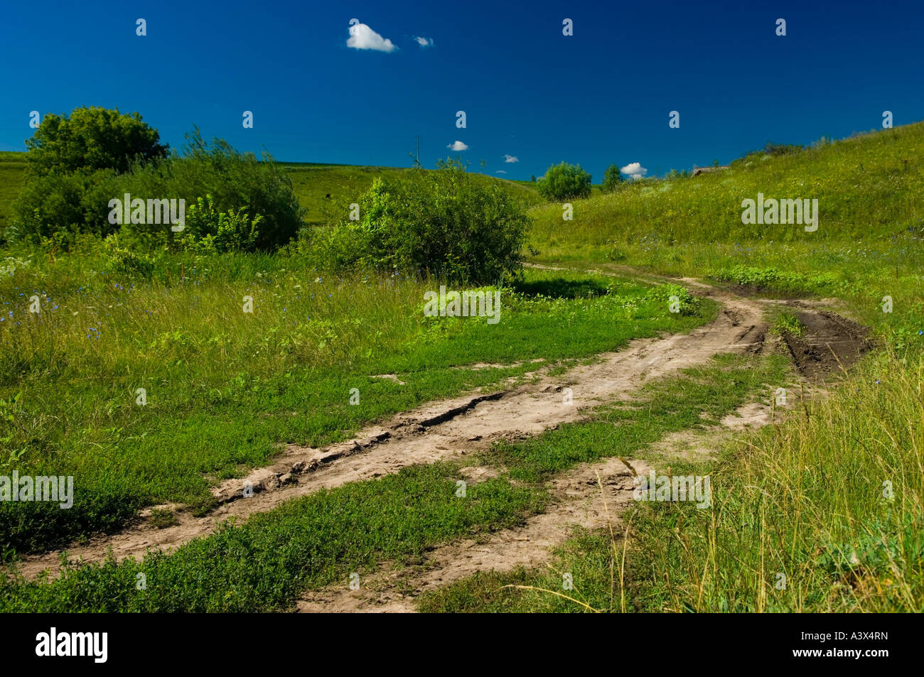 Countryside lane in Sumy Oblast (Region) Ukraine Stock Photo - Alamy