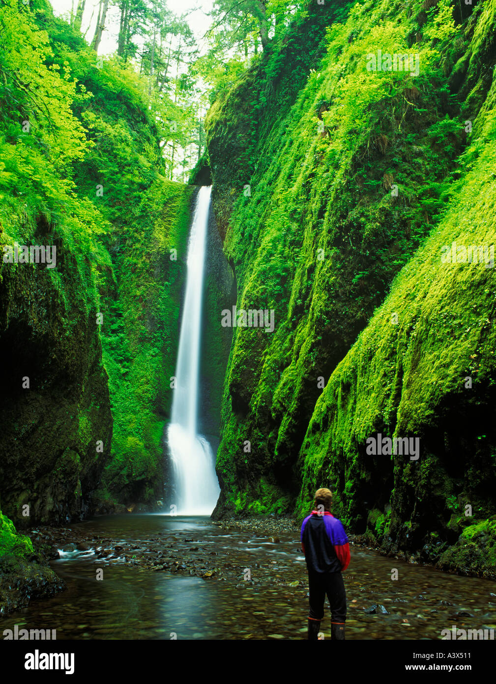 Oneonta Falls Columbia river gorge National Scenic Area Oregon Stock ...