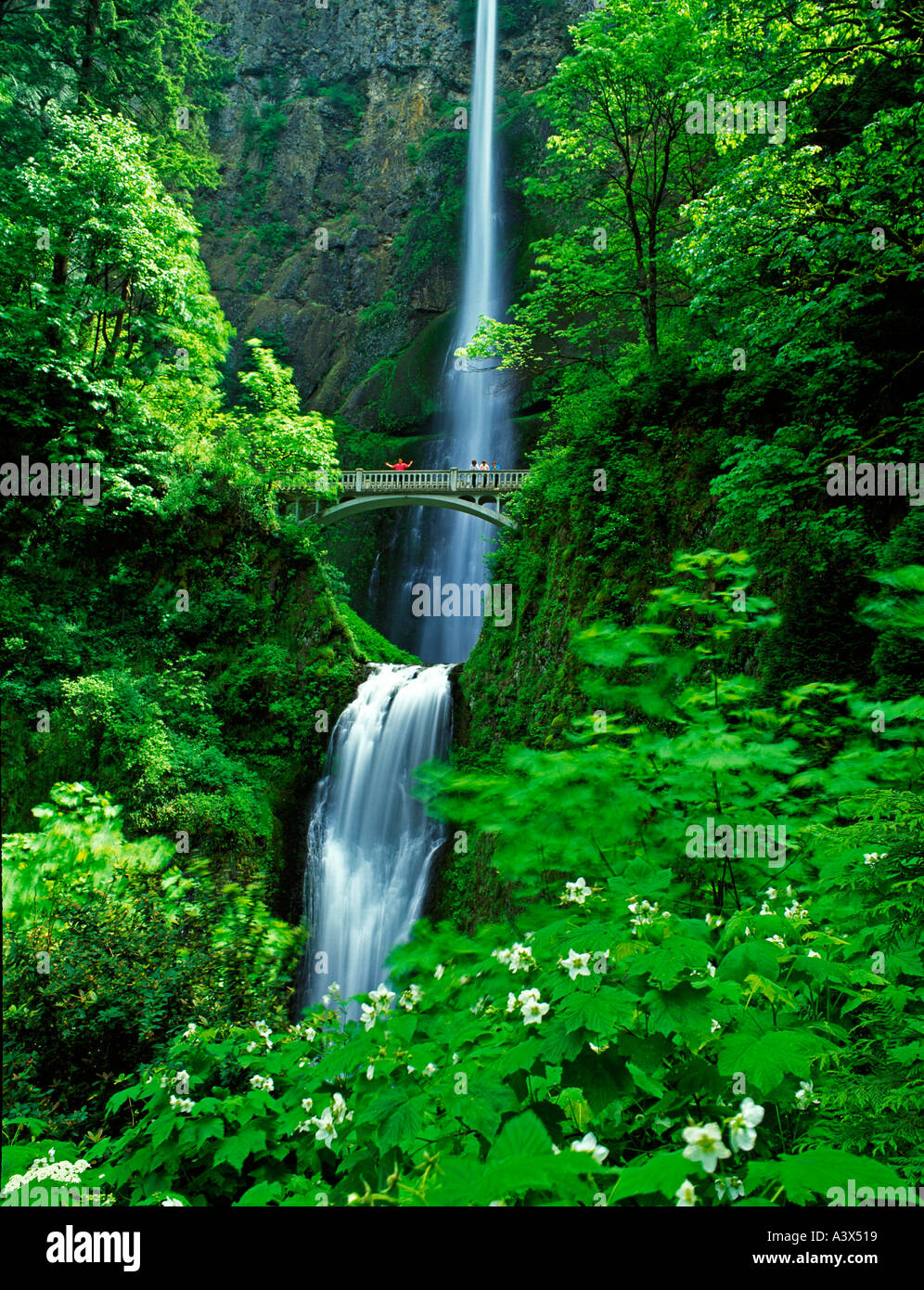 Multnomah waterfalls hi-res stock photography and images - Alamy