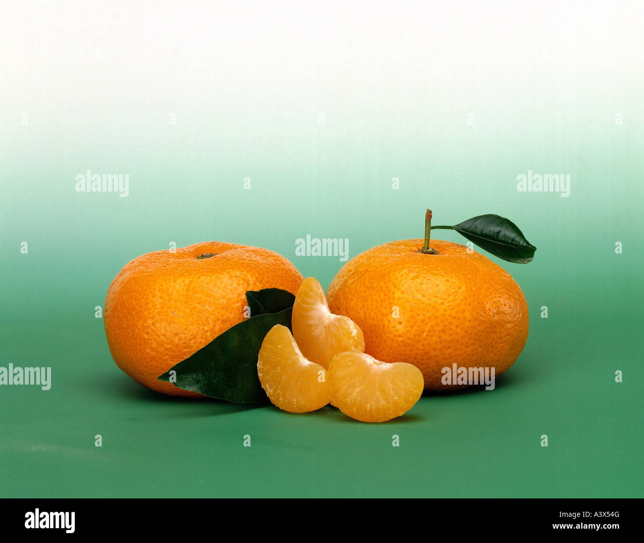 Citrus reticulata var unshin hi-res stock photography and images - Alamy