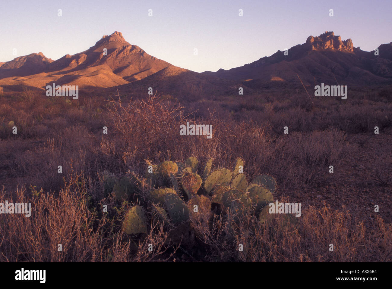 Big bend natl park hi-res stock photography and images - Alamy