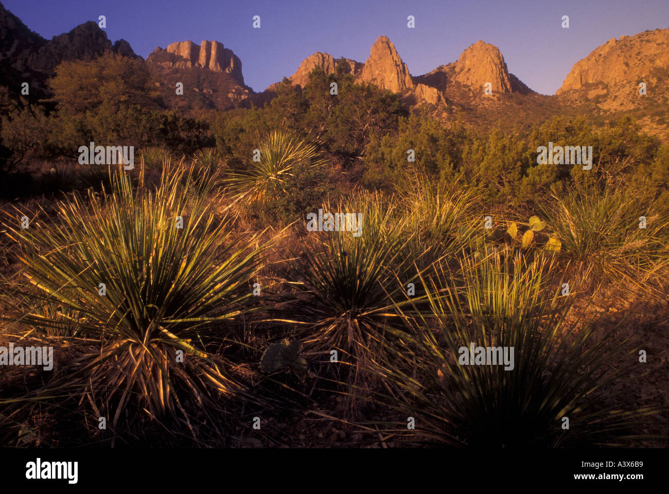 Big bend natl park hi-res stock photography and images - Alamy