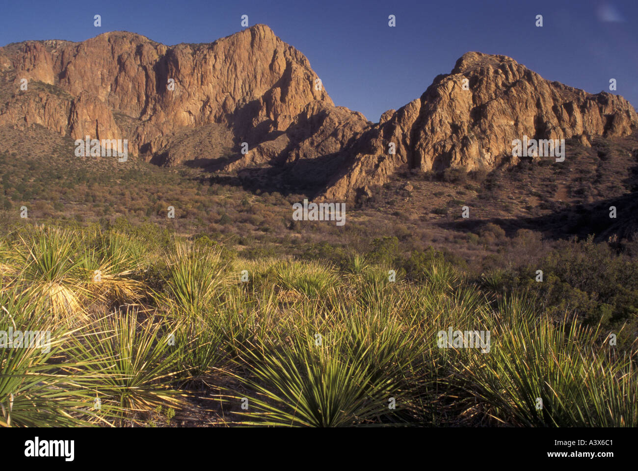 Big bend natl park hi-res stock photography and images - Alamy