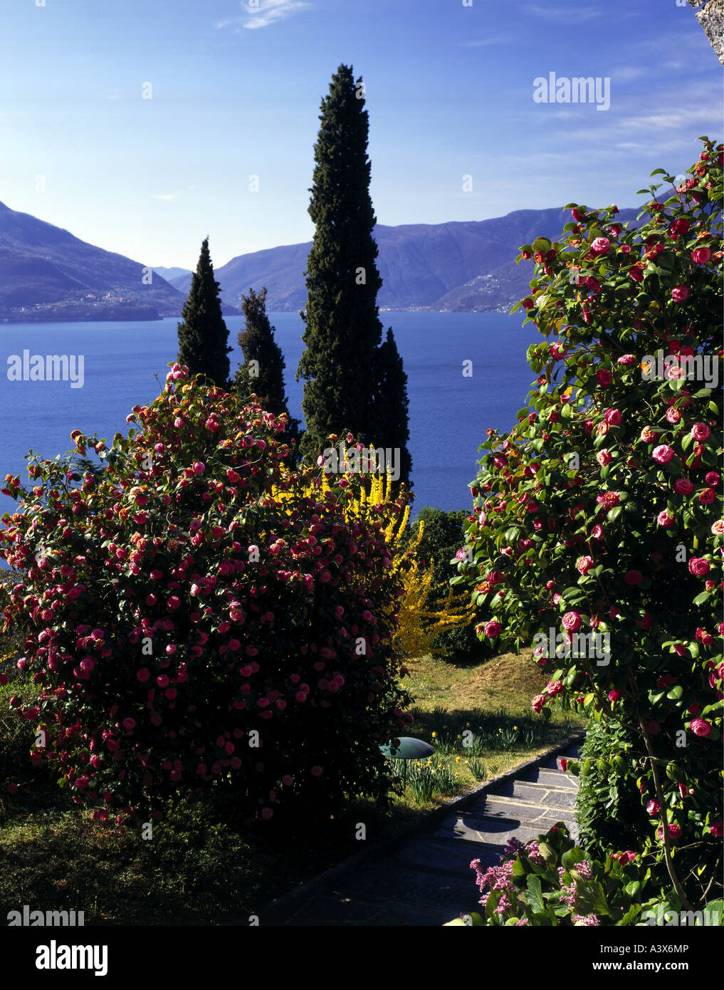 geography / travel, Switzerland, Ticino, landscapes, Lake Maggiore ...