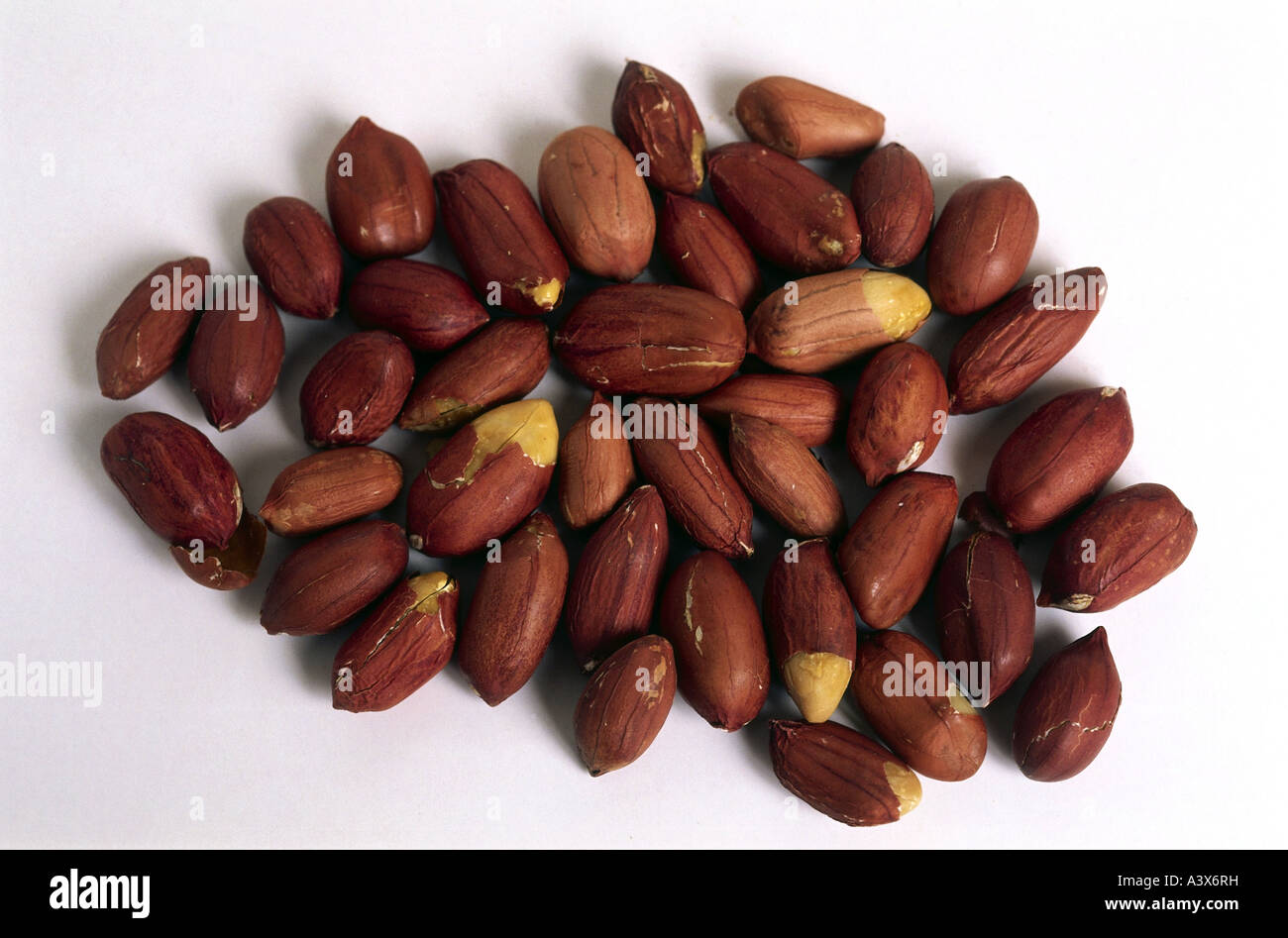 Groundnut Seed