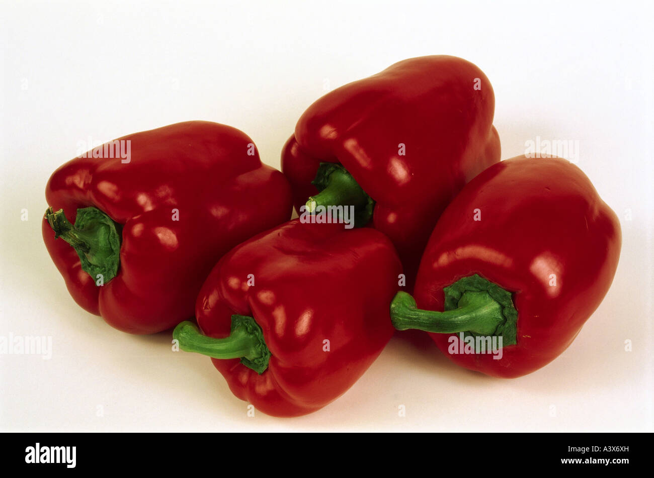 "botany, Capsicum, "Bell pepper" (Capsicum annuum), four red sweet ...