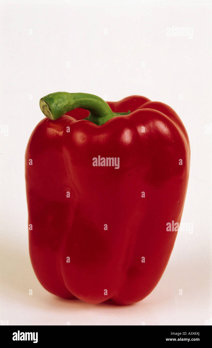 "botany, Capsicum, "Bell pepper" (Capsicum annuum), red sweet pepper ...