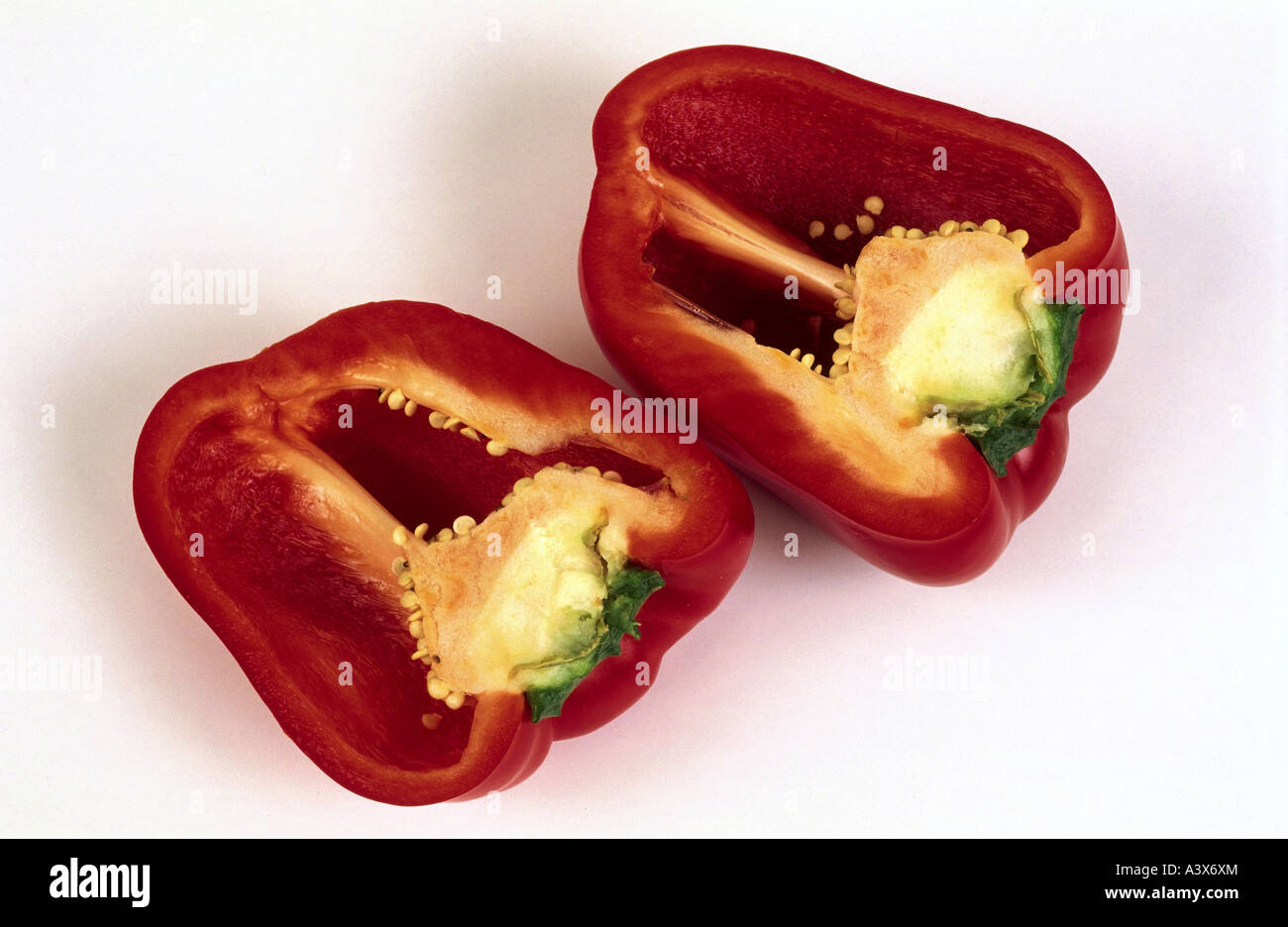 "botany, Capsicum, "Bell pepper" (Capsicum annuum), red sweet pepper ...
