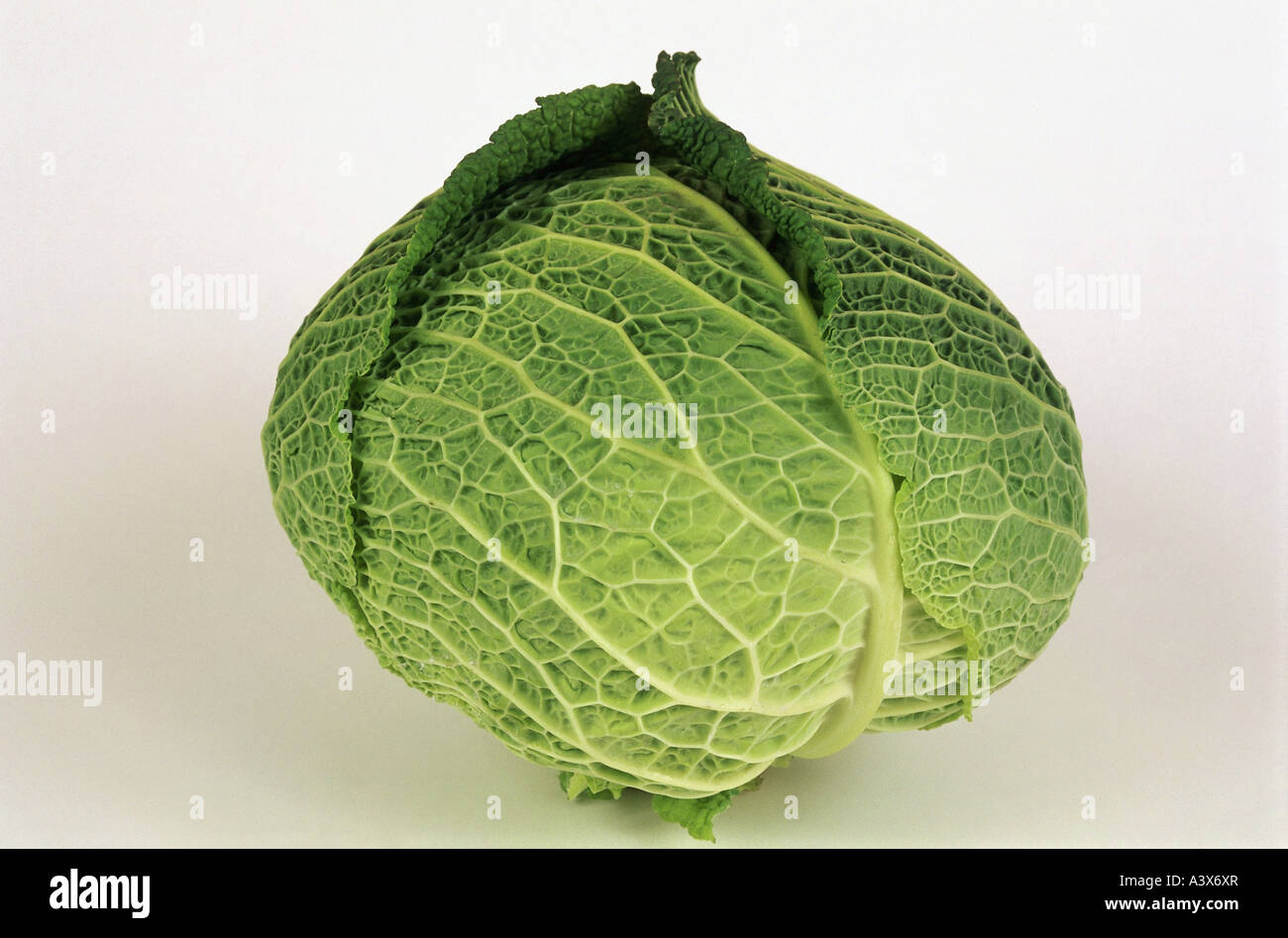 Cabbage brassica oleracea brassicaceae hi-res stock photography and ...