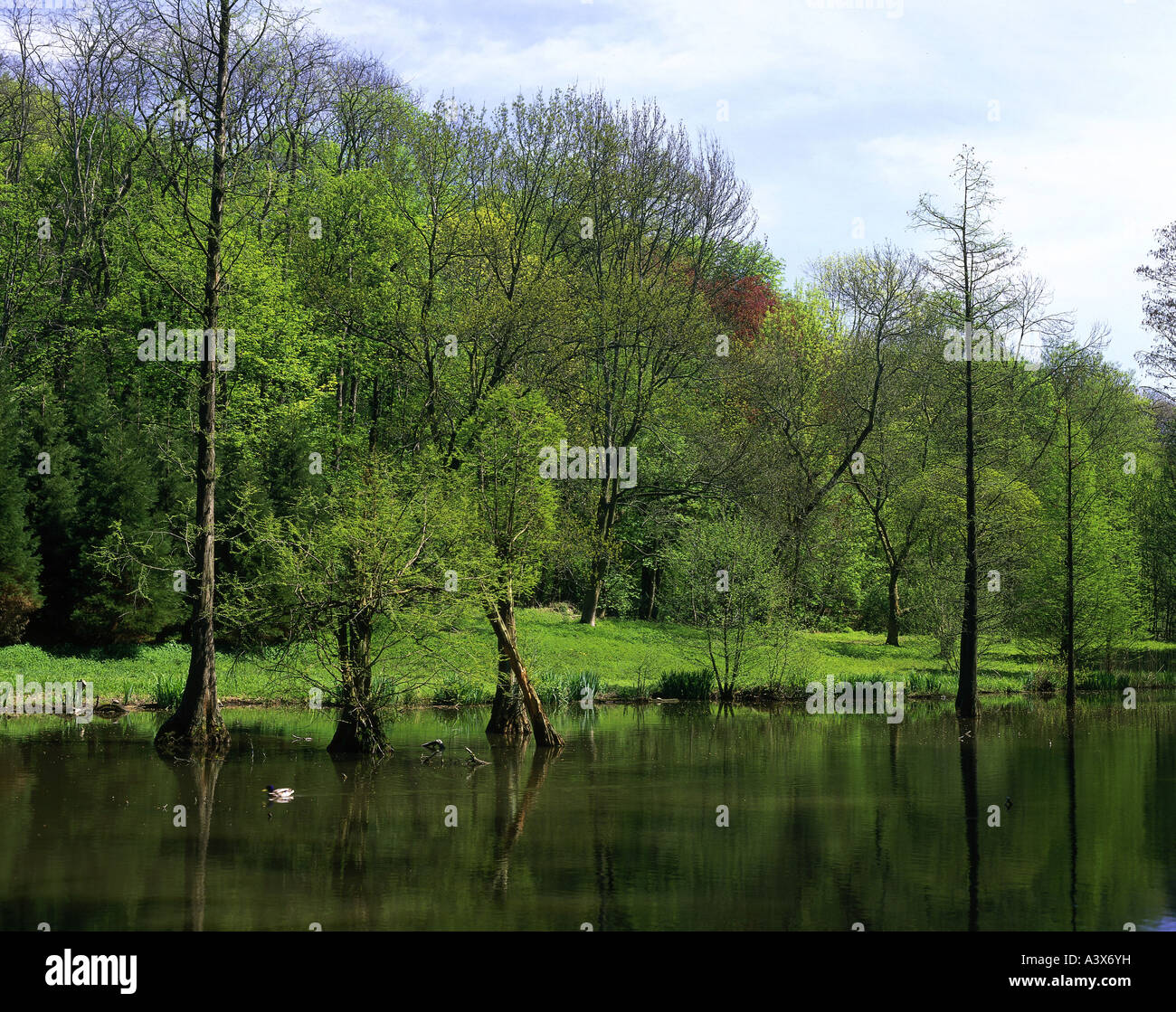 Romberg botanical garden hi-res stock photography and images - Alamy