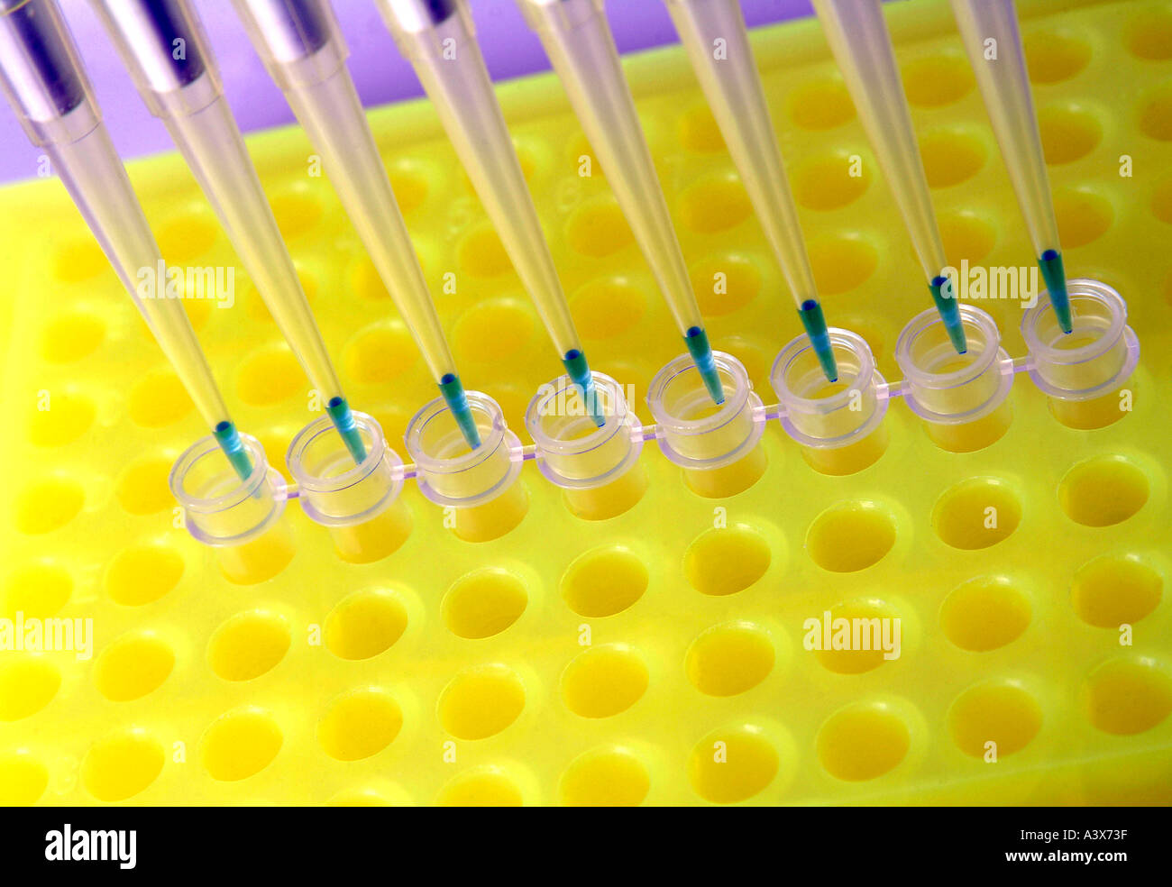 DNA laboratory photo by Bruce Miller Stock Photo - Alamy