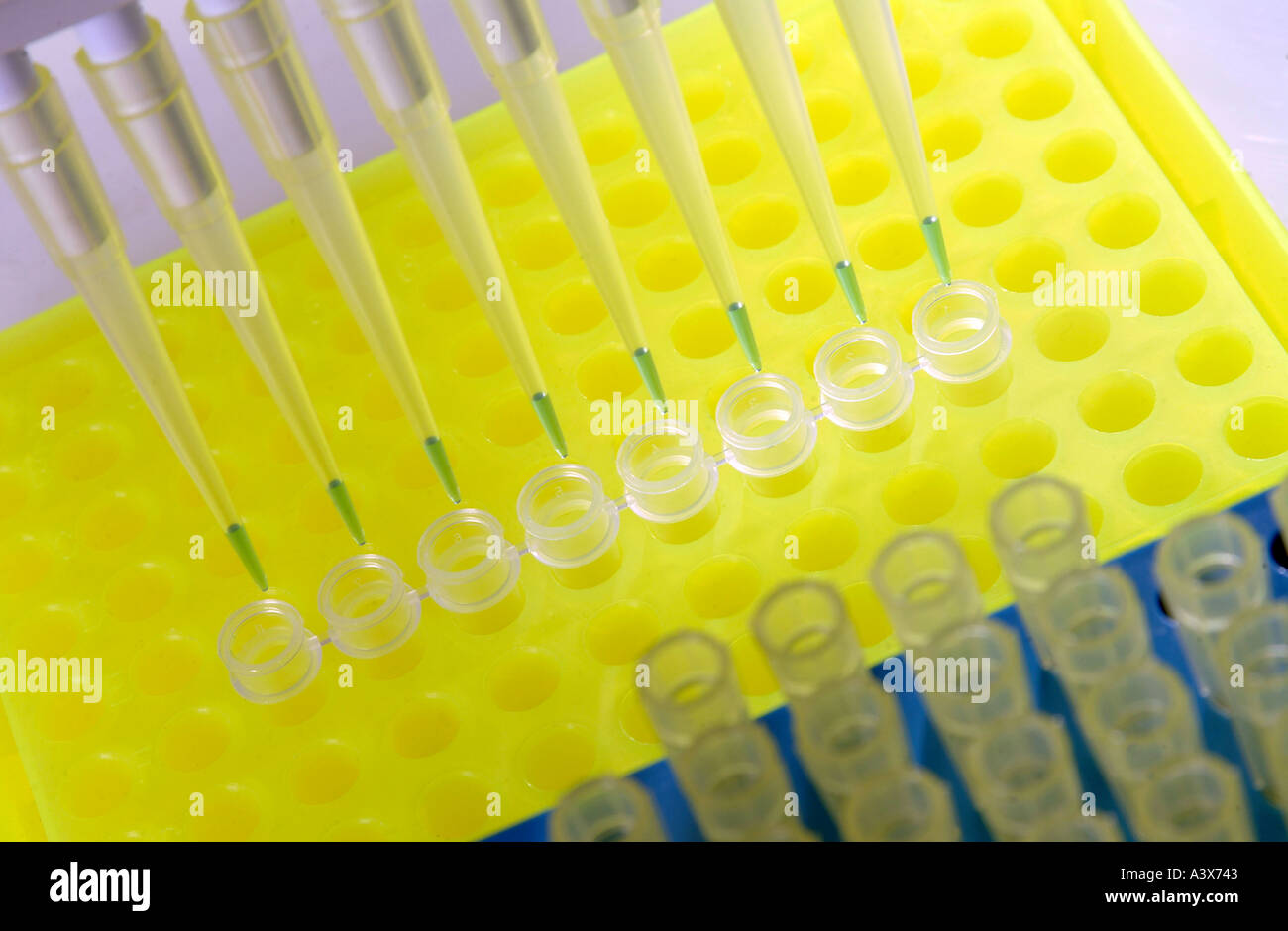 DNA laboratory, photo by Bruce Miller Stock Photo - Alamy
