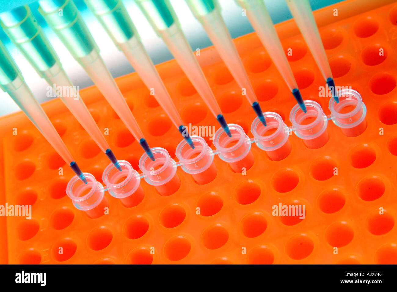 DNA laboratory, photo by Bruce Miller Stock Photo - Alamy